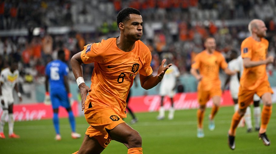 Liverpool agree deal for Dutch star Gakpo - Bangladesh Post